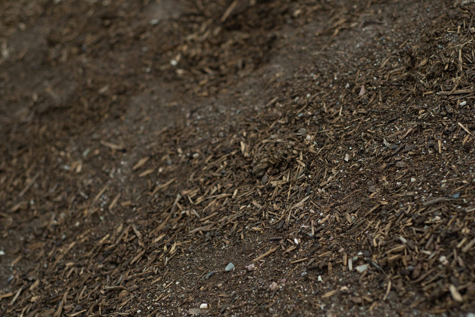 Premium Steer Compost | Old Mill Landscape Supply
